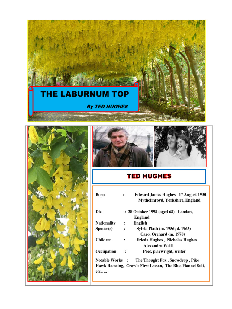 The Laburnum Top PDF | PDF