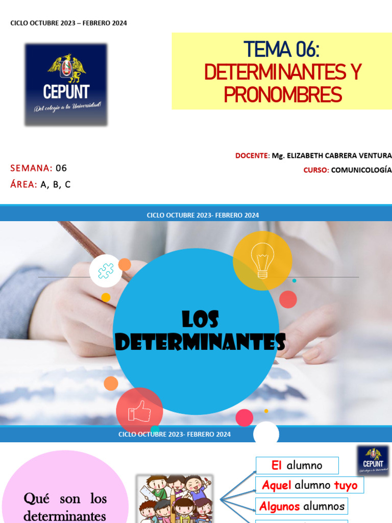 Uso de "tuyo" en determinantes y pronombres | PDF | Adjetivo | Sustantivo