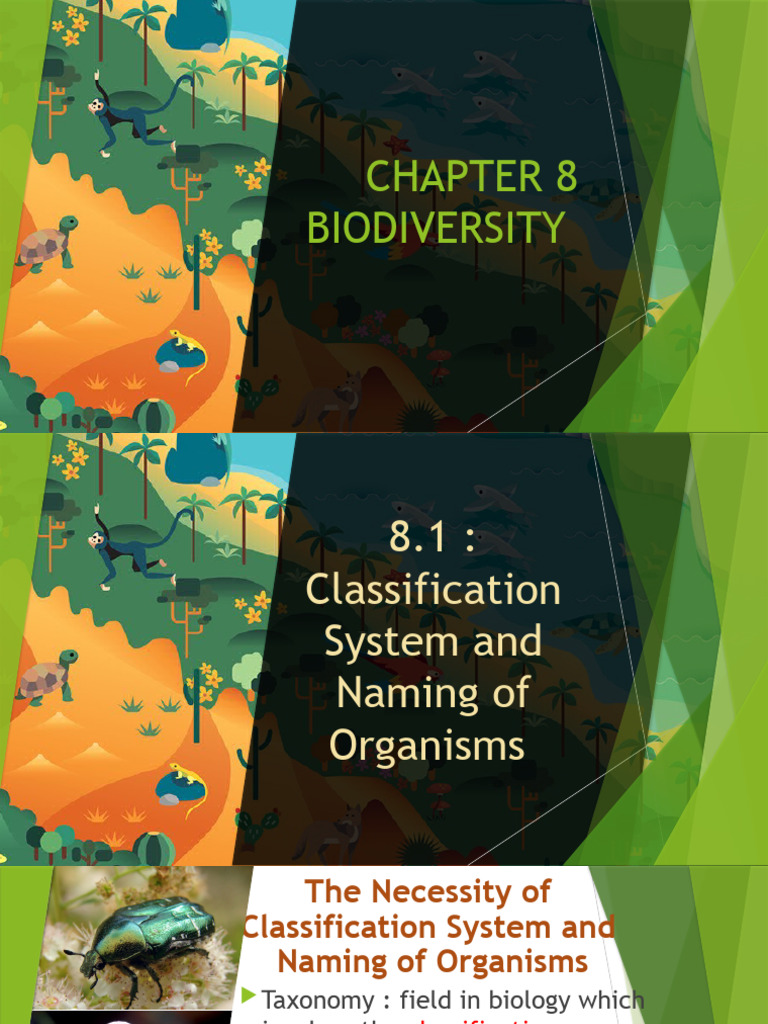 Biology F5 C8 8.1 | PDF | Cell (Biology) | Bacteria
