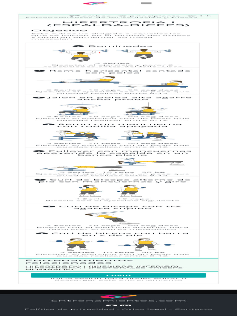 Rutina Hipertrofia Espalda-Bíceps | PDF
