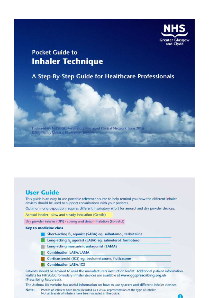 HOW TO USE INHALER 7 | PDF