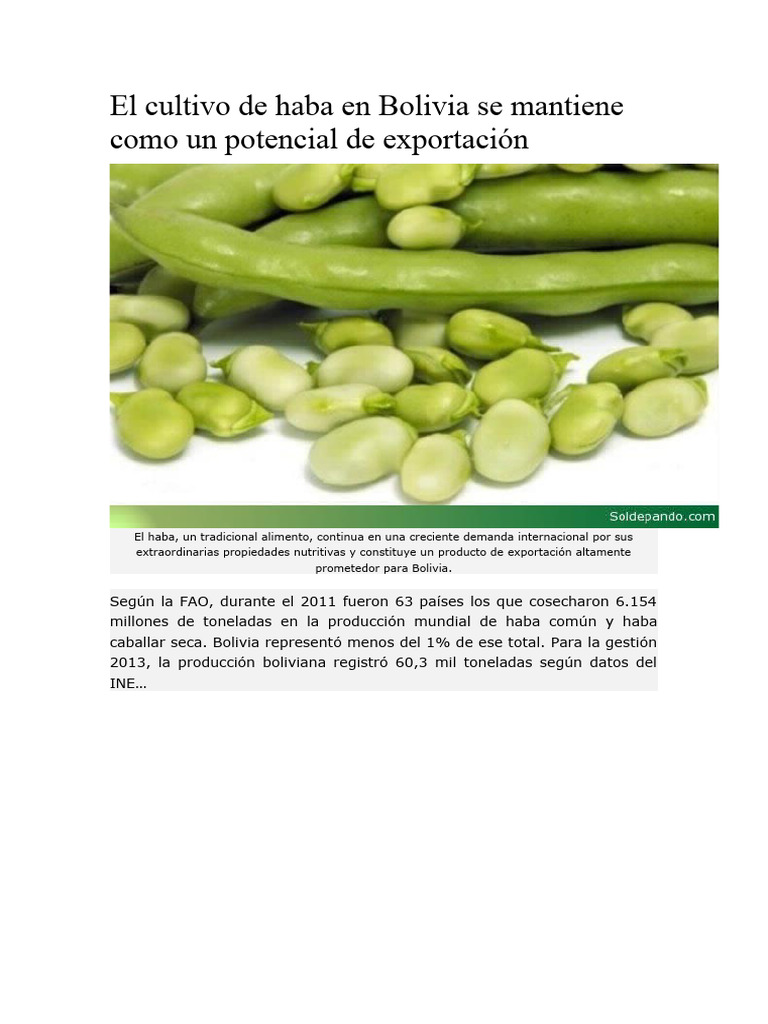 El Cultivo de Haba en Bolivia Se Mantiene Como Un Potencial de Exportación | Descargar gratis ...