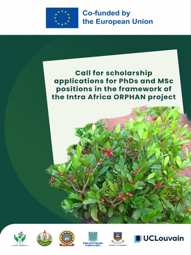 Intra Africa ORPHAN Scholarship Call | PDF | Doctor Of Philosophy ...