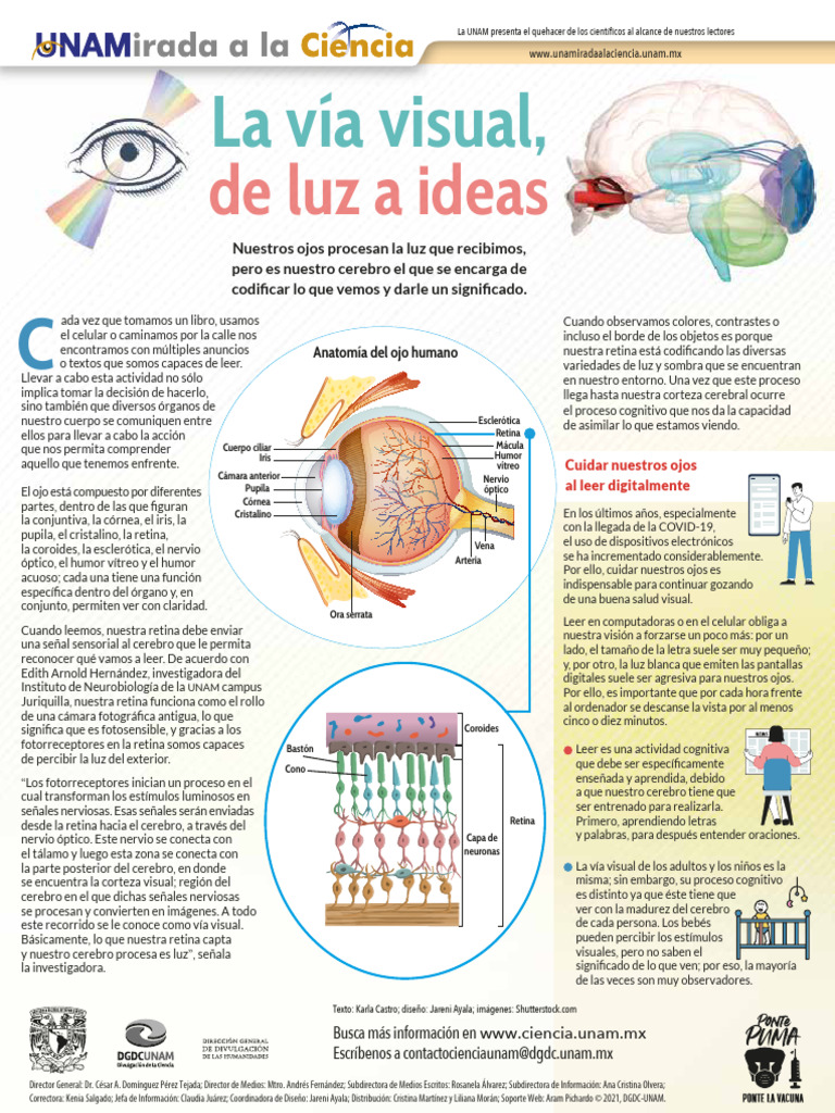 Unamirada 859 | PDF | Ojo humano | Percepción visual