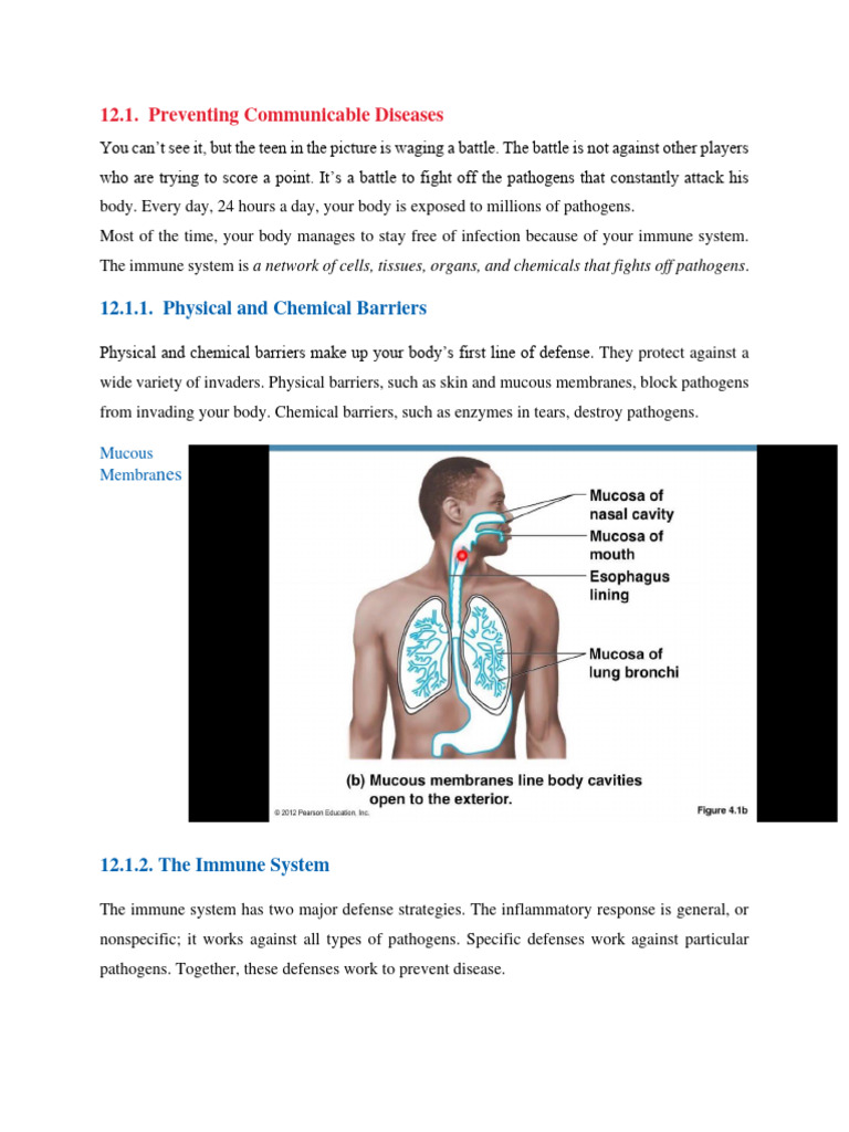 Communicable Diseases | Download Free PDF | Hepatitis | Immune System