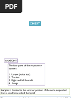 Apical Lordotic Chest X-Ray Positioning | PDF | Thorax (Human Anatomy ...