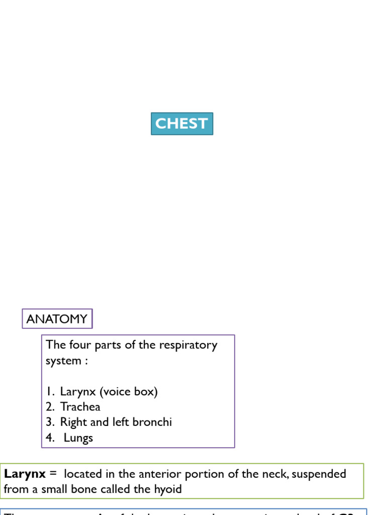 Chest Anatomy and Pathology Overview | PDF | Abdomen | Lung