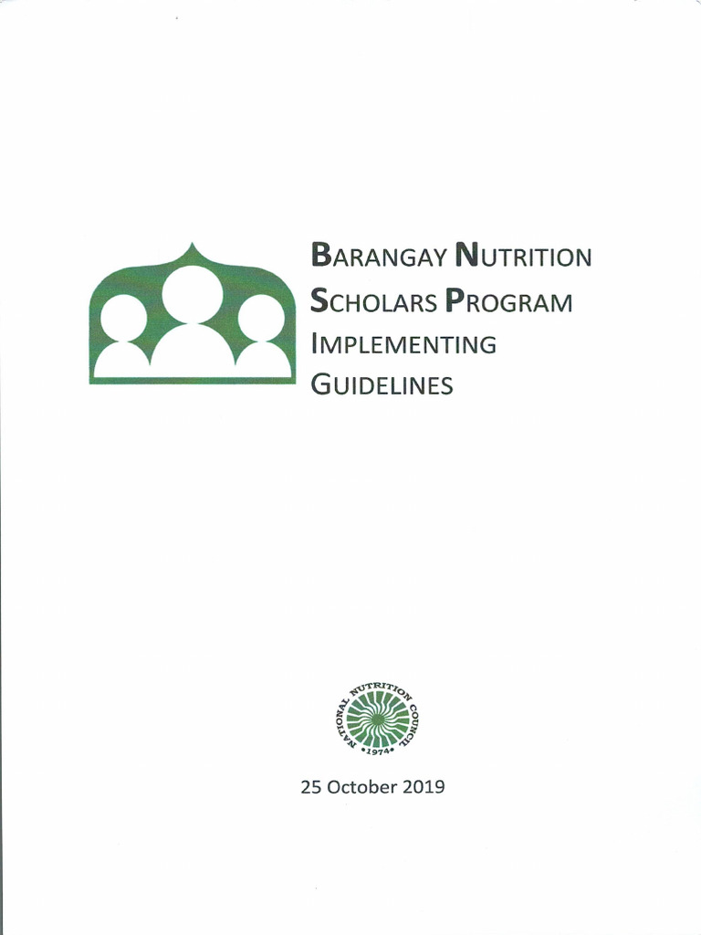 BNSP Implementing Guidelines | PDF