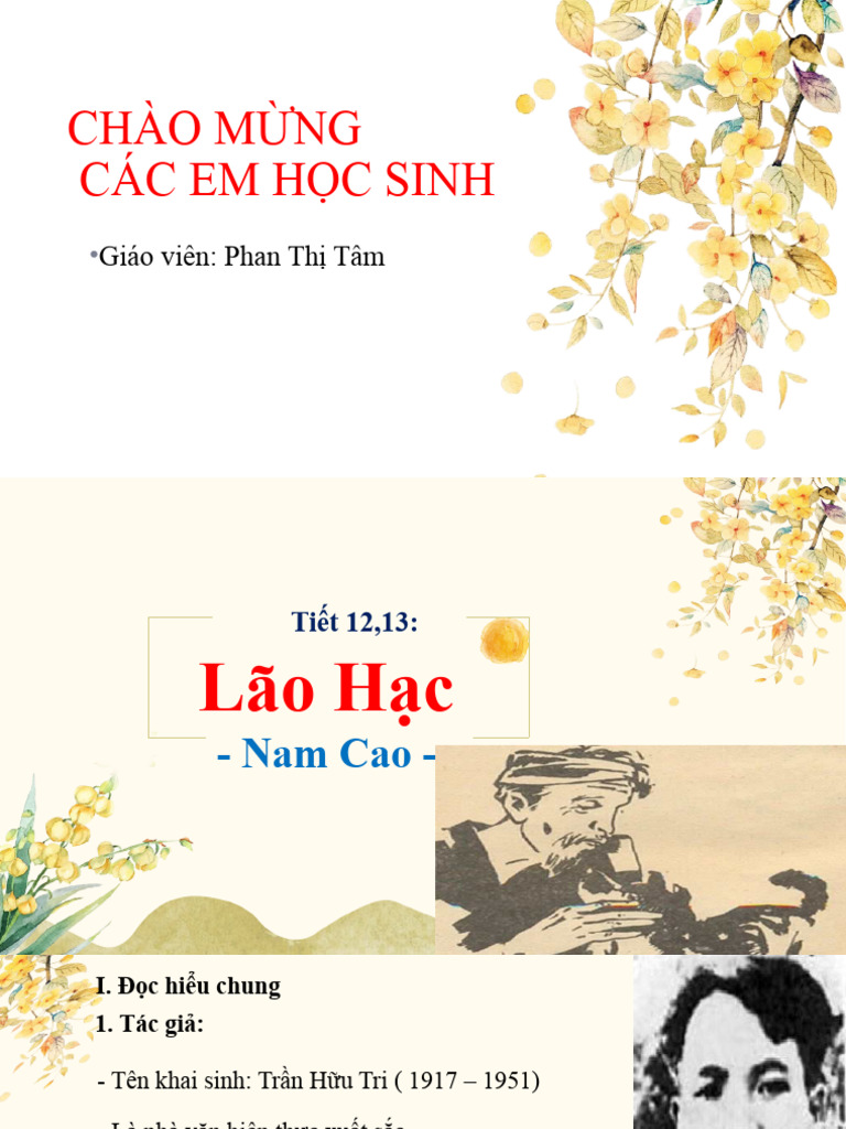 Văn 8 Tiet 12, 13 Lão H C | PDF