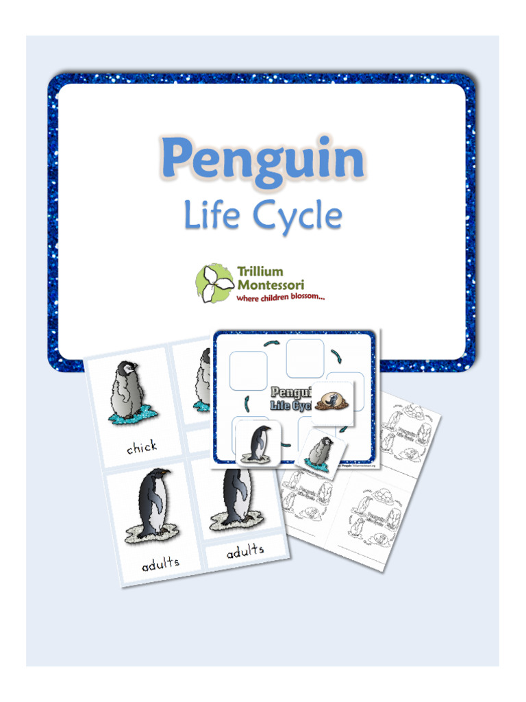Life Cycles - Penguin by Trillium Montessori | PDF | Social Information ...