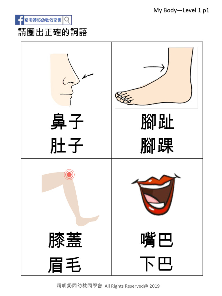 My Body Part (Chinese) - Exercise 1 | PDF