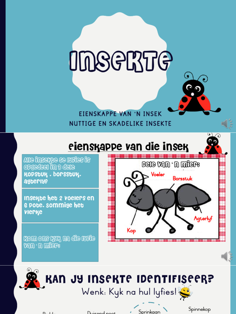 NR 6 Insekte | PDF