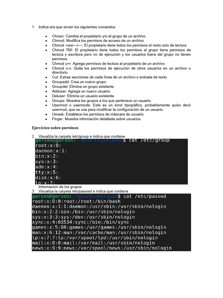Ejercicios Tema 9 - Linux - Permisos | PDF | Archivo de computadora | Software del sistema
