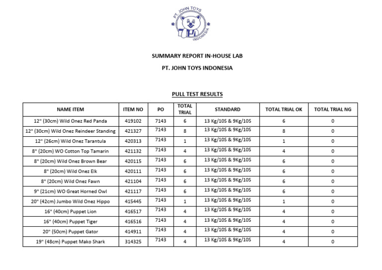 REPORT PULL TEST | PDF