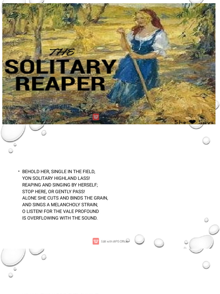 Solitary Reaper | PDF | Poetry | Metre (Poetry)