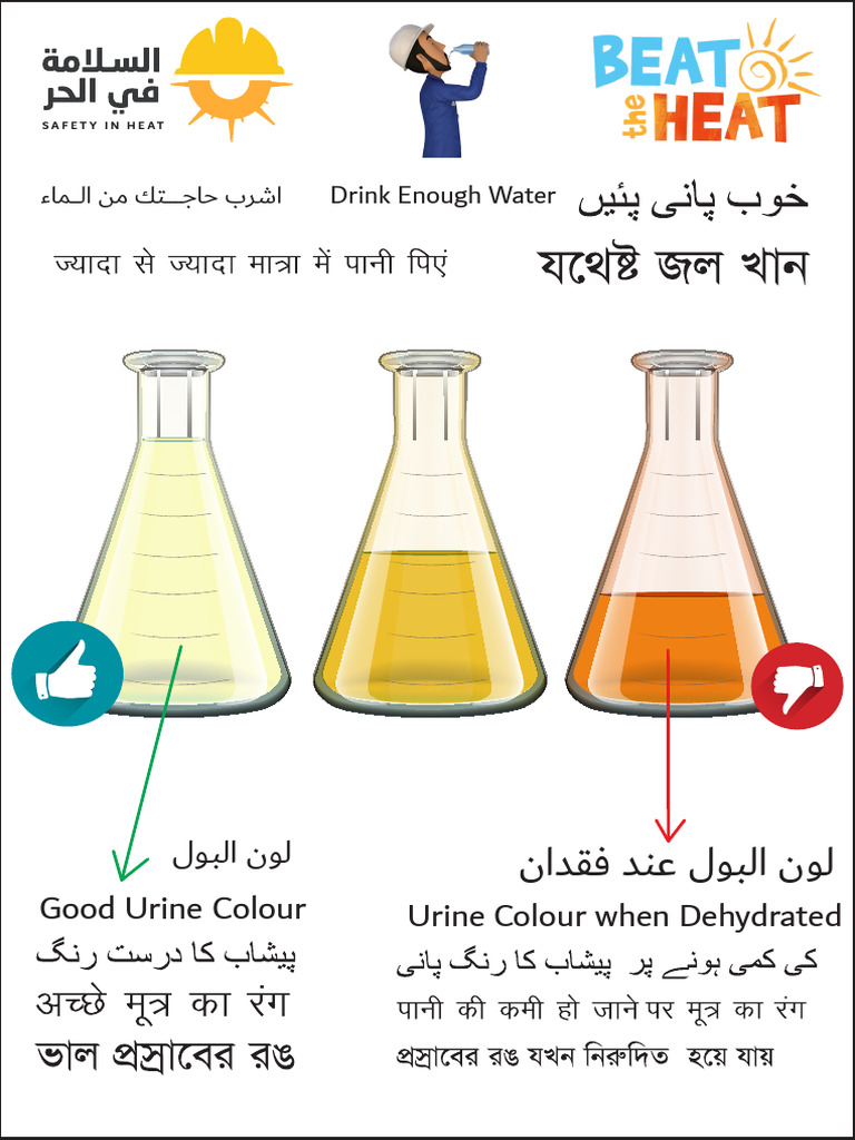 Hydration and Urine Color Guide | PDF | Wellness
