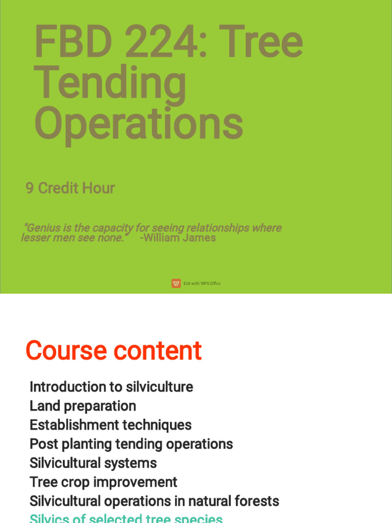 Planting and Tending Tree and Forests Nuhu2020 | PDF | Plant Breeding ...