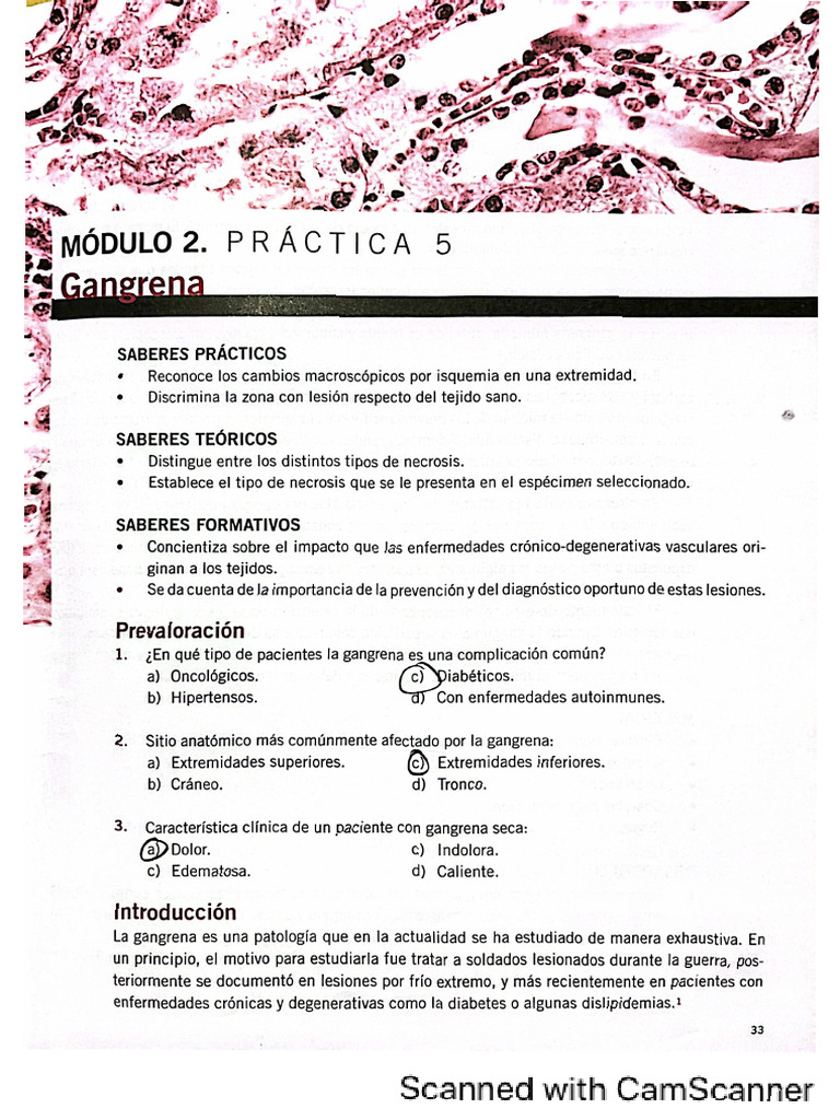Análisis de Gangrena en Diabéticos | PDF | Especialidades Medicas ...