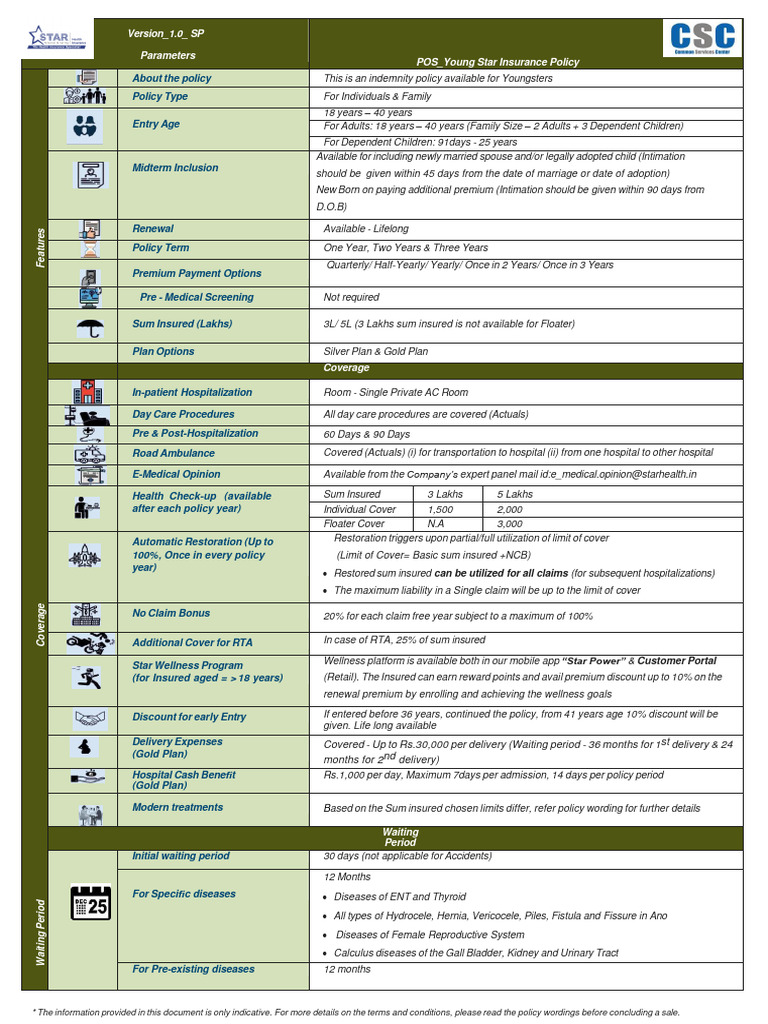 POS Young Star Insurance Overview | PDF | Insurance | Public Services
