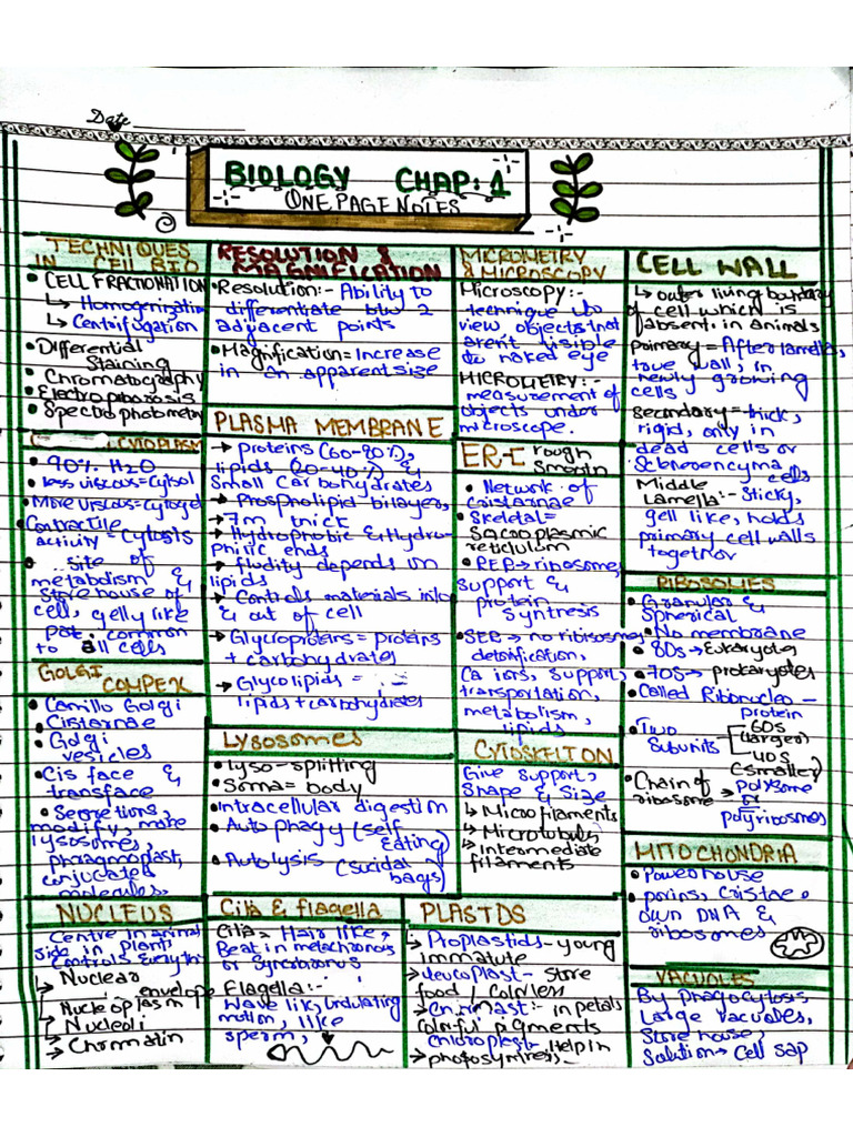 Chap 1 Bio One Page Notes | PDF