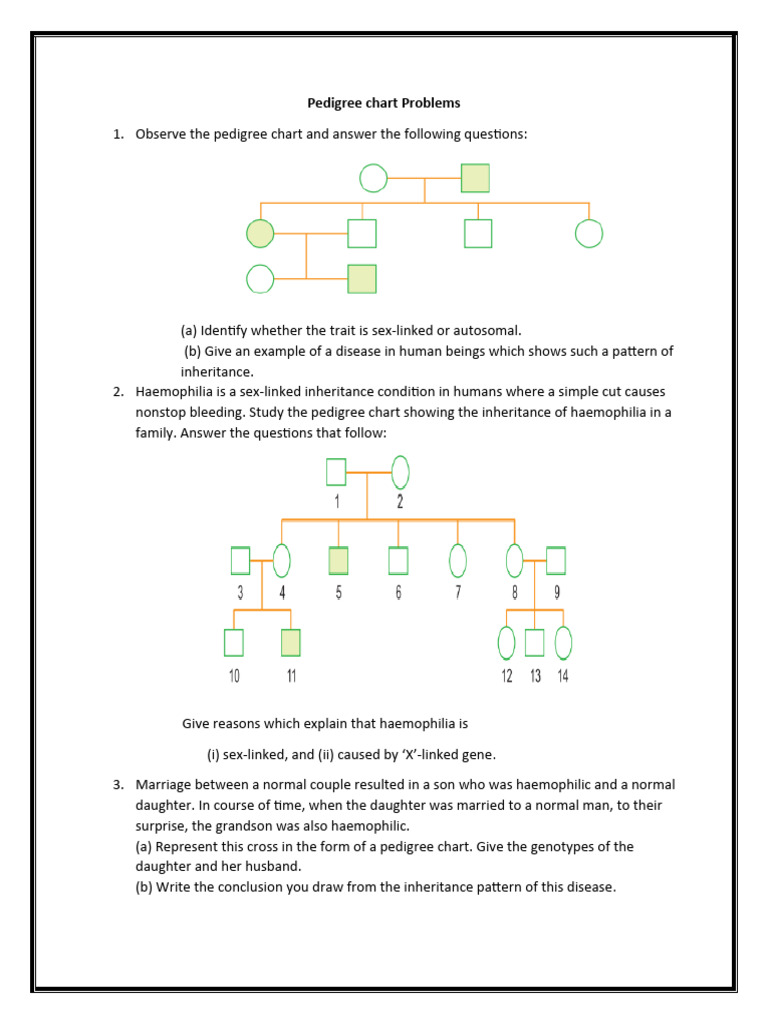 Pedigree Chart Problems | PDF
