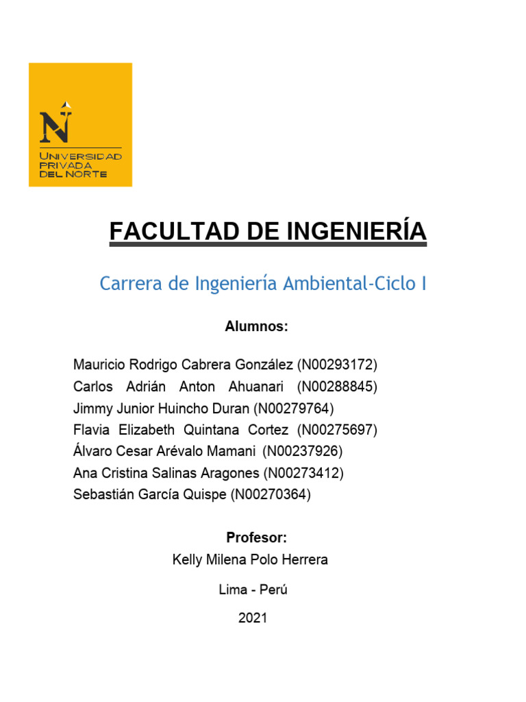 Contaminación Ambiental en Cerro de Pasco | PDF | Minería | Contaminación