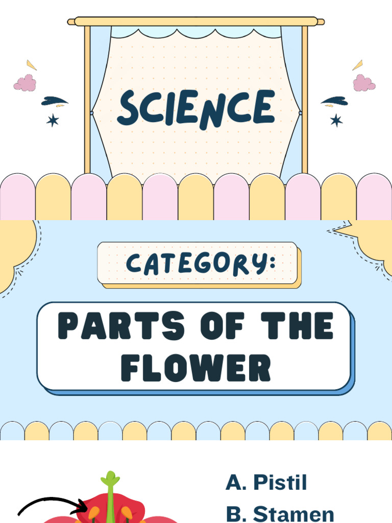 K2 Science (Final Exam) | PDF | Petal | Plant Morphology