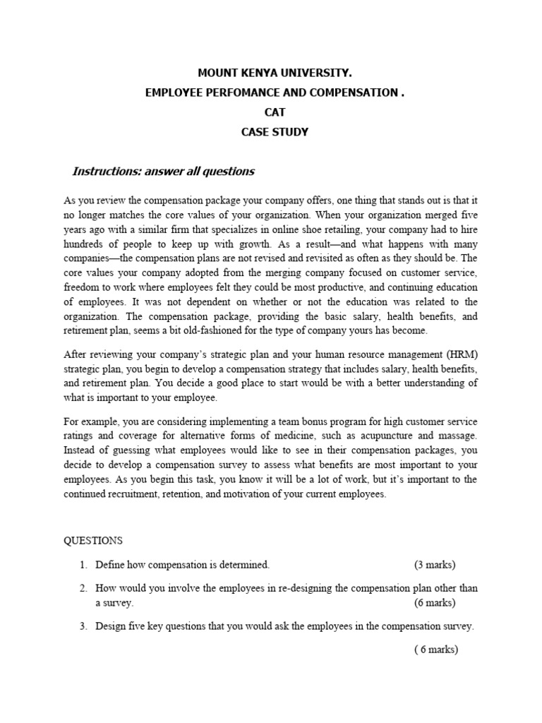 Compensation Plan - Employee Performance and Compensation Cat | PDF