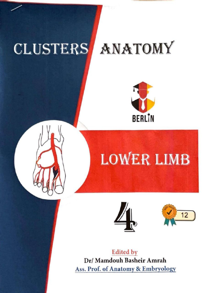 Lower Limb Part 4 DR - Cluster | PDF