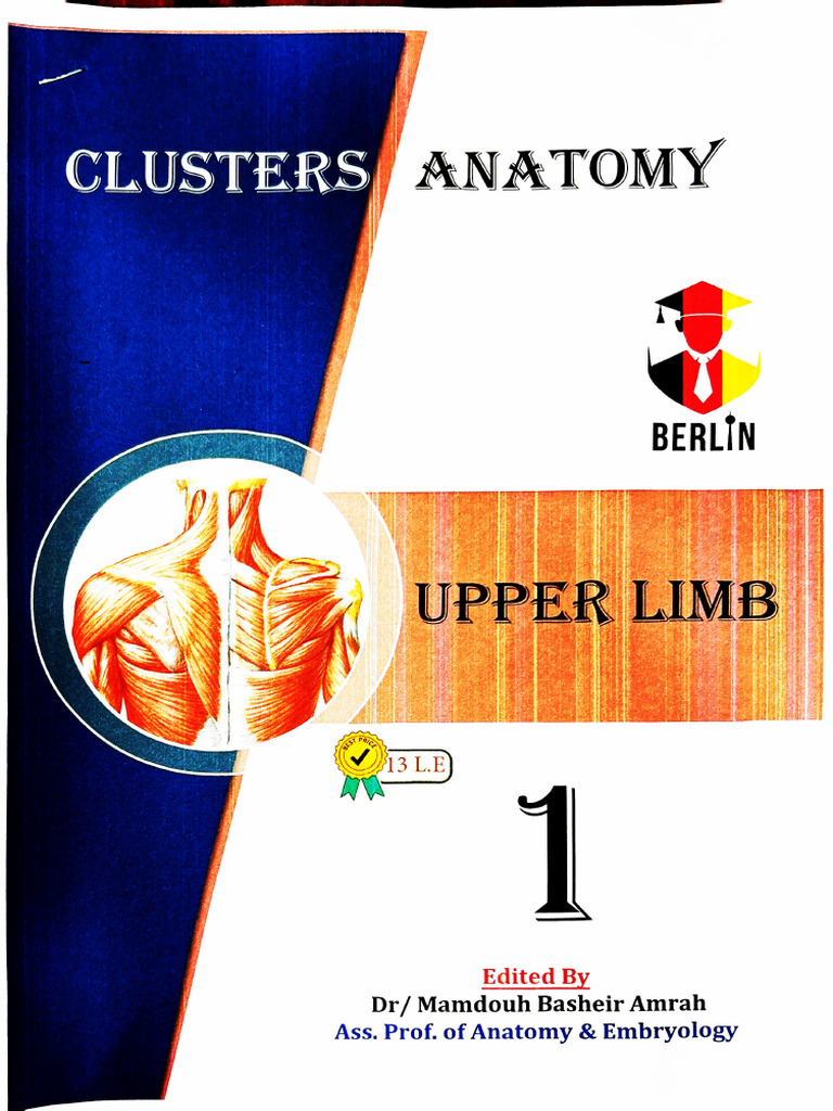Anatomy 1 MSS | PDF