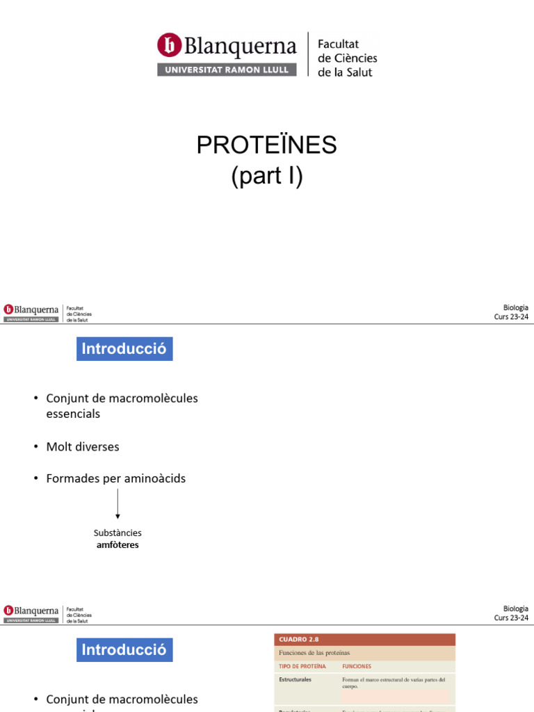 05 Proteïnes I | PDF