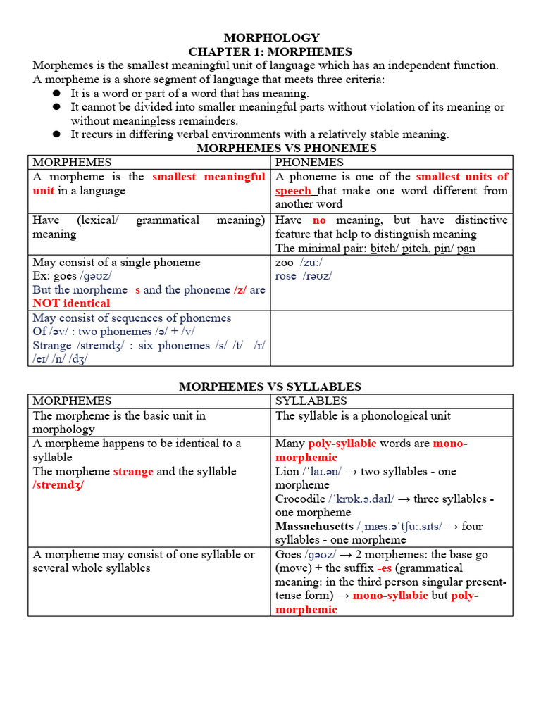 MORPHOLOGY | PDF | Word | Morphology (Linguistics)