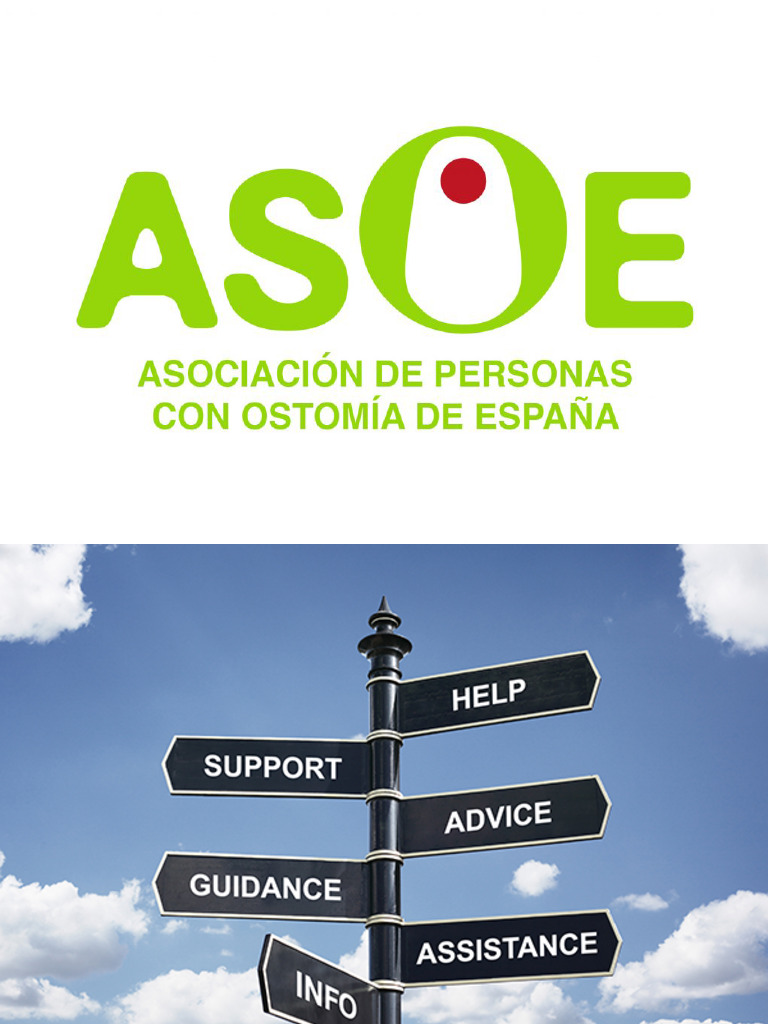 asoe.v01 | PDF