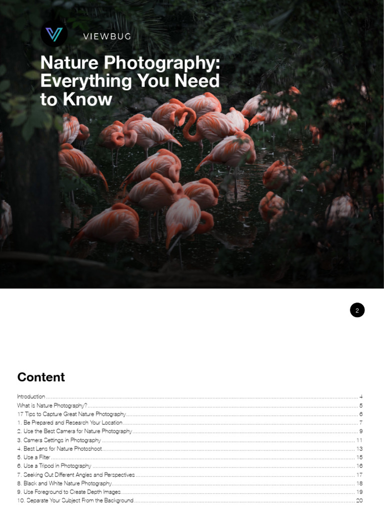 Nature Photography - Everything You Need To Know | PDF | Camera Lens ...
