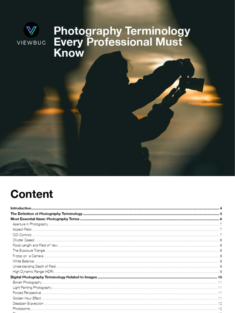 Photography Terminology Every Professional Must Know | PDF | Digital ...