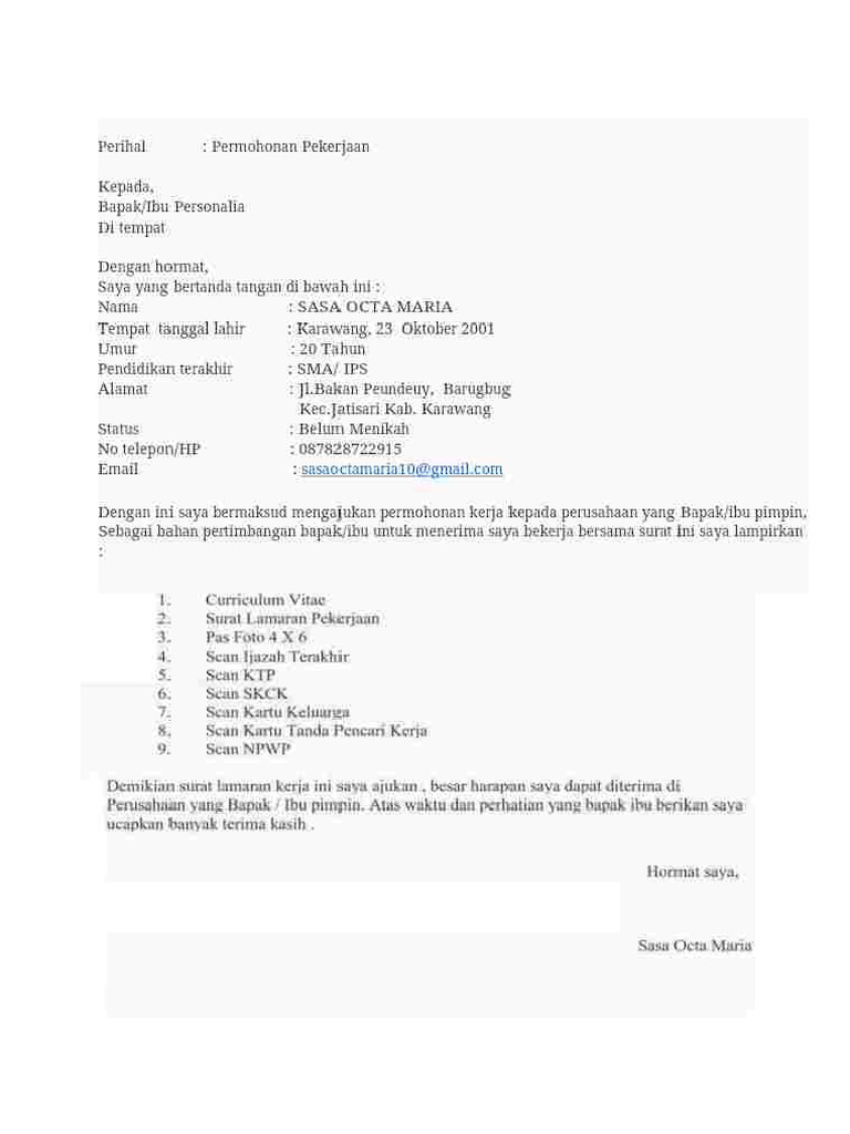 CV - Sasa Octa Maria23 | PDF