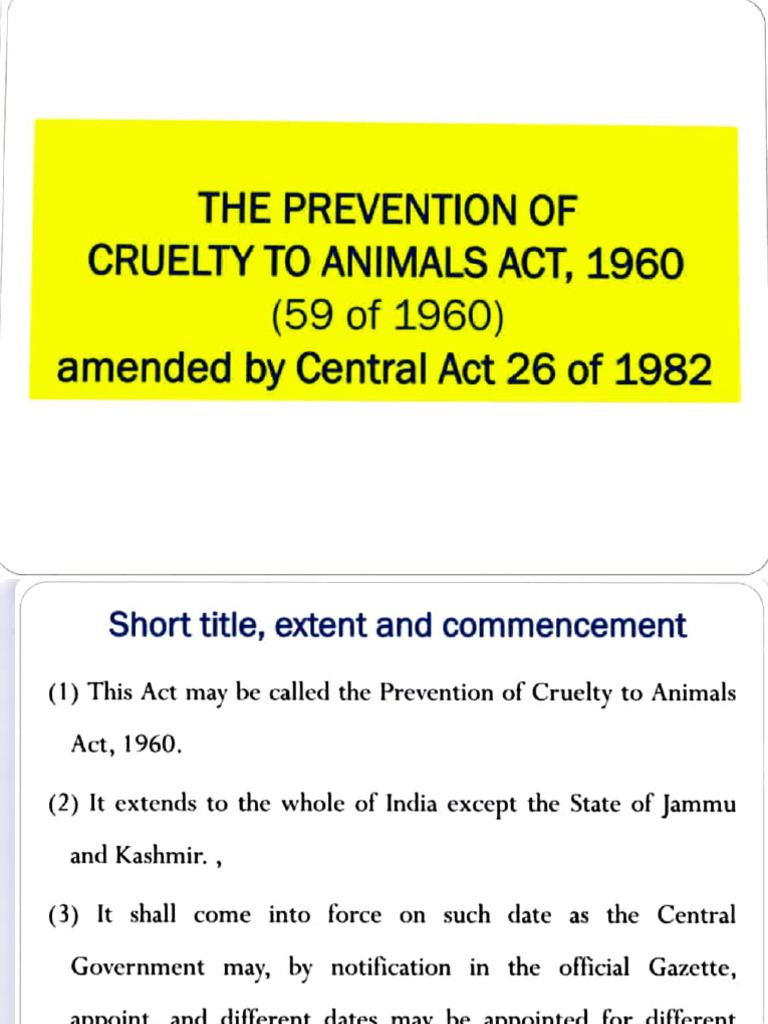 The Prevention of Cruelty To Animals Act | PDF