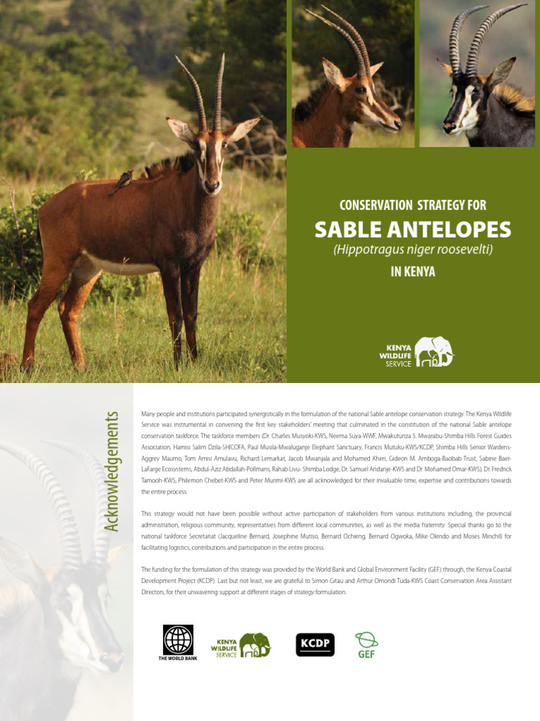 Sable Antelope Action Plan | PDF | Conservation Biology | Natural ...