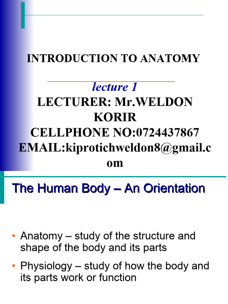 Lecture 1 Introduction To Anatomy 2022 Pdf Anatomical Terms Of