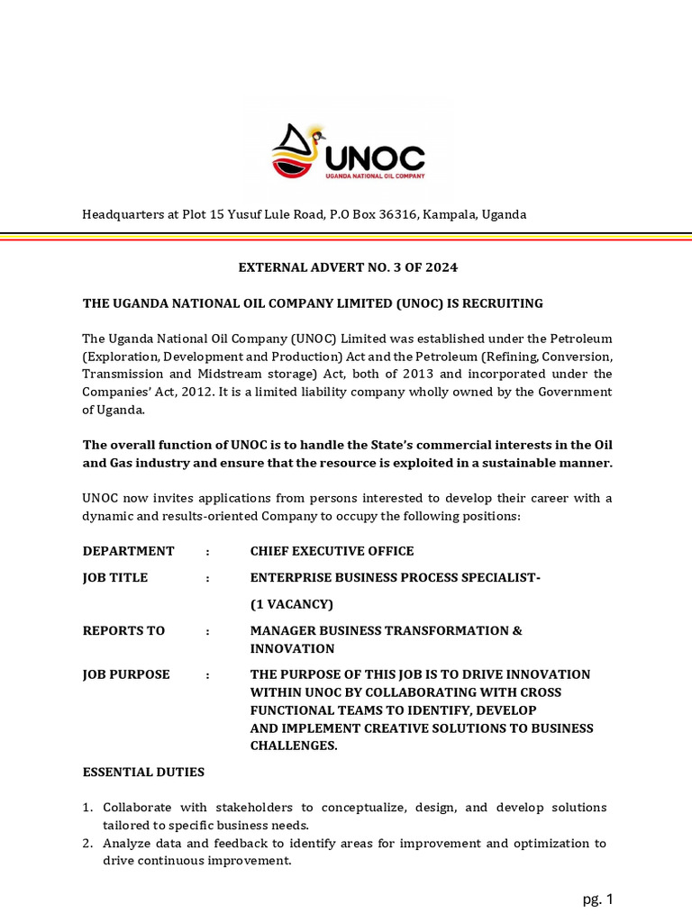 External Job Advert v2 | PDF | Internal Audit | Audit