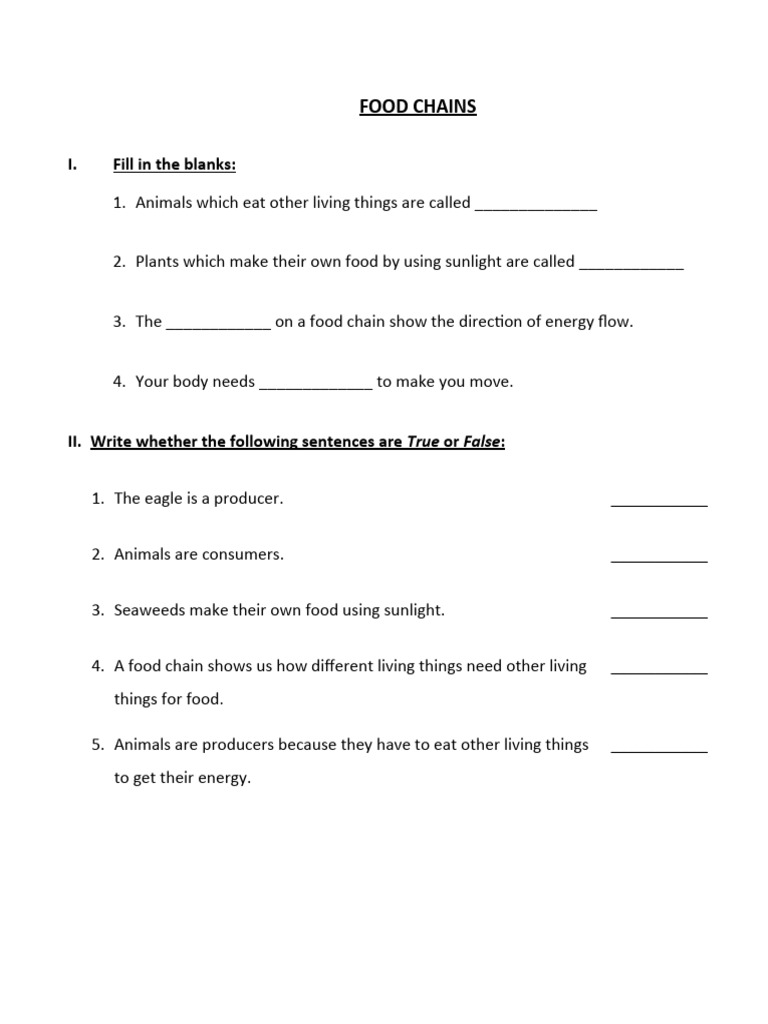 Food Chain Worksheet For Grade 2 and 3 | PDF