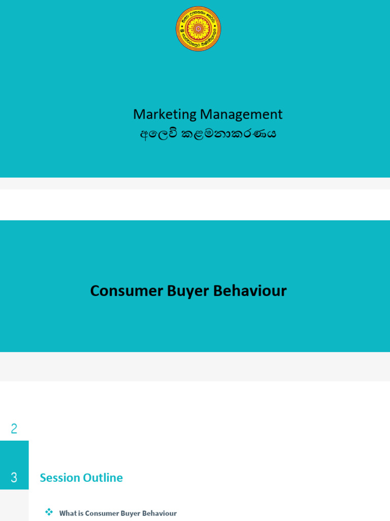 Understanding Consumer Buyer Behavior | PDF | Consumer Behaviour | Behavior