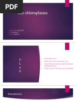 Schéma et structure du chloroplaste | PDF