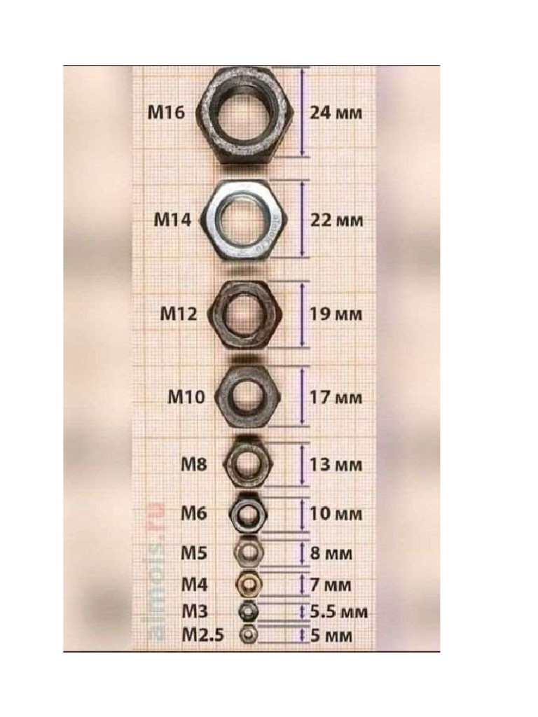 Bang Tra Nut Va Lo Taro | PDF