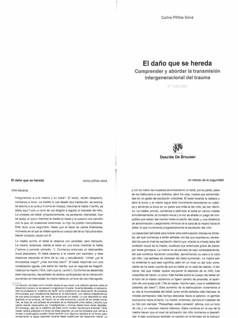 Cuatro Dimensiones de La Seguridad (Pitillas) | PDF