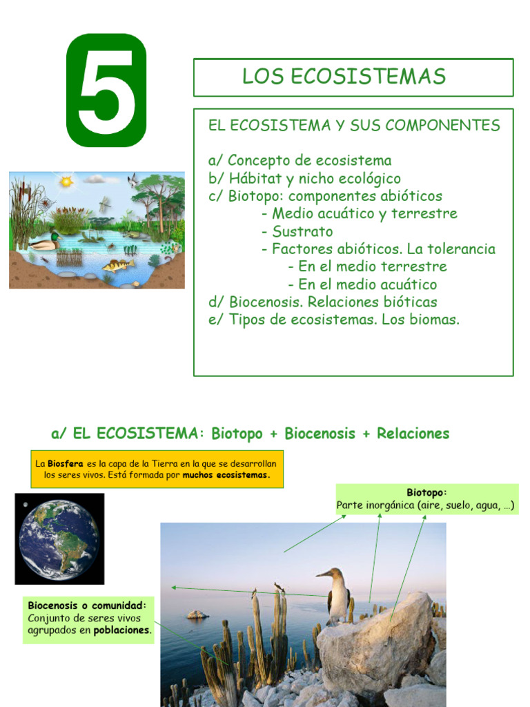 Ecosistemas Descripcion 2 | PDF | Ecosistema | Habitat