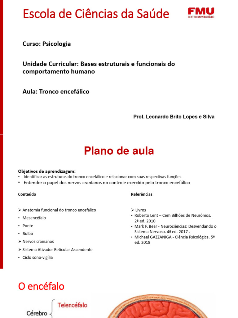Psico BEC - Aula 06 Tronco EncefÃ¡lico 2024 | PDF | Nervo | Cérebro
