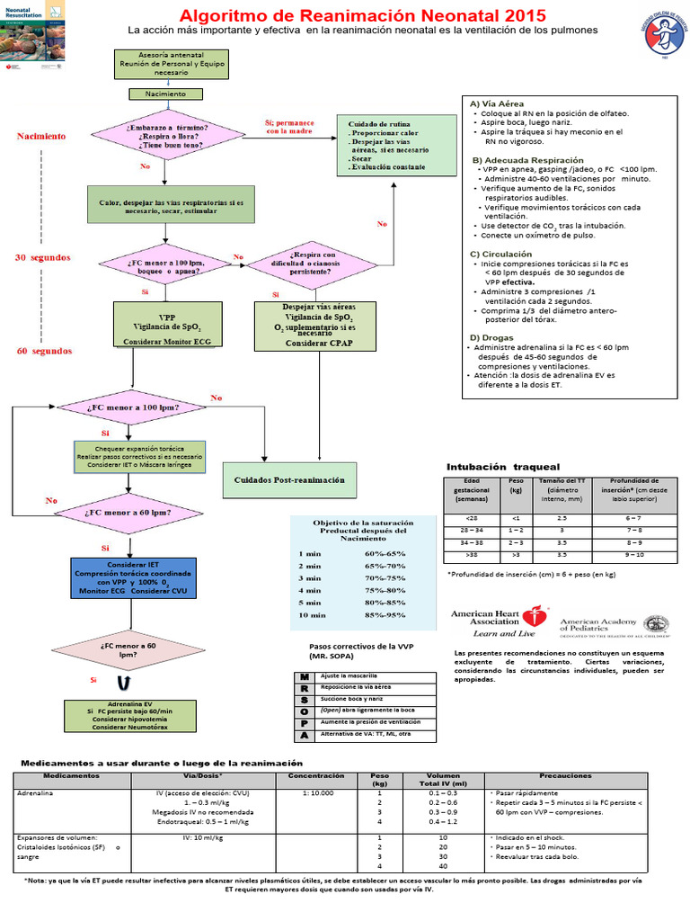 Algoritmo Reanimación SOCHIPE PDF | PDF | Reanimación cardiopulmonar | Tratamientos médicos