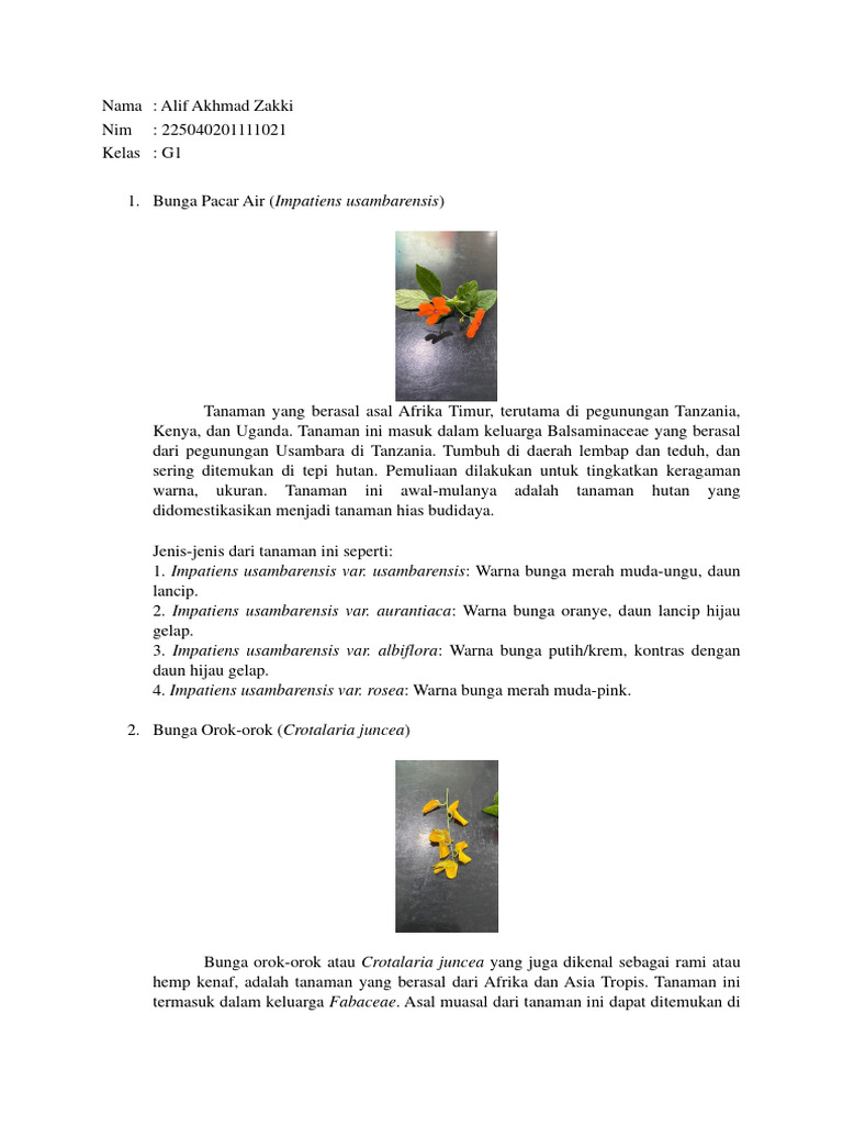 Alif AKhmad Zakki - Tugas 2 | PDF | Griya & Taman | Sains & Matematika