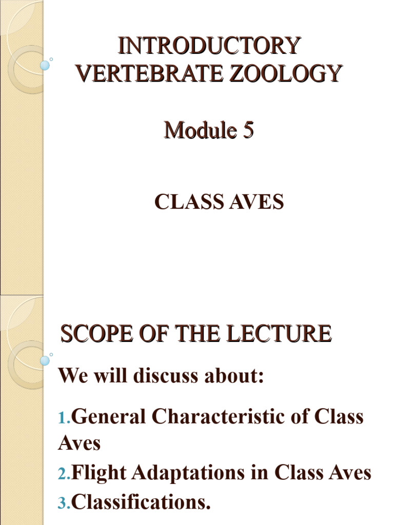 Zoo 117 - Class Aves | PDF | Birds | Ornithology